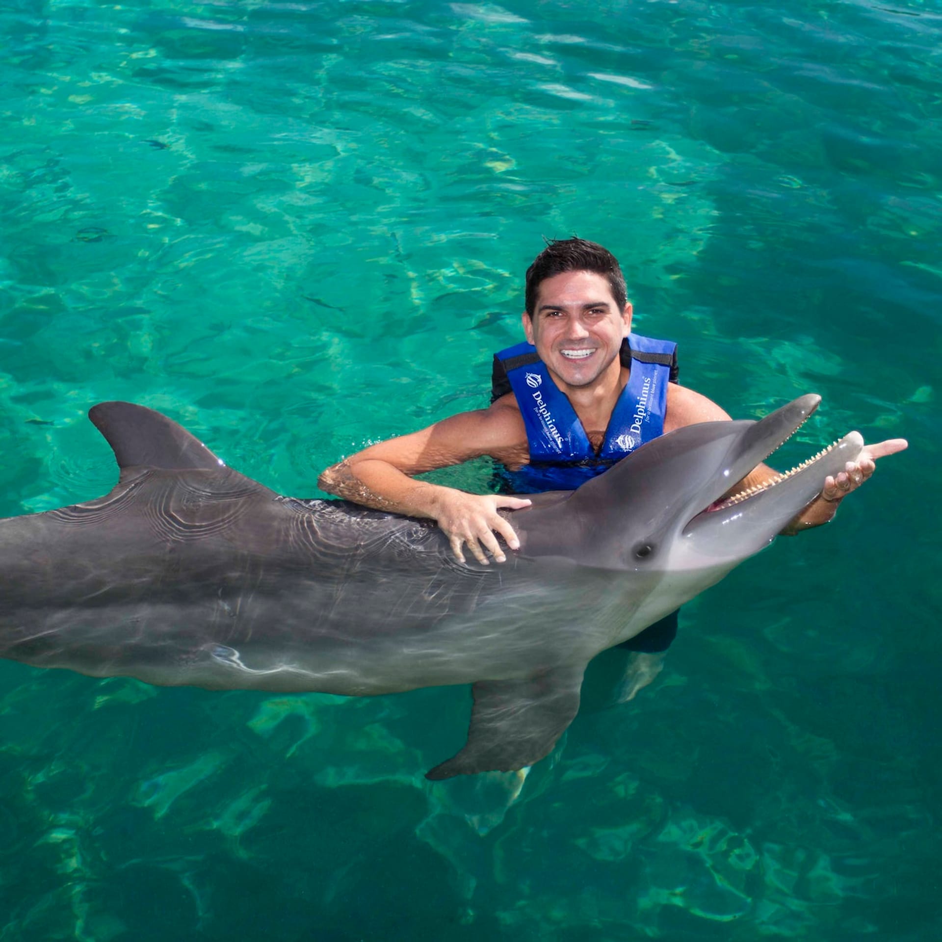 Xcaret Dolphin Show Swim With Dolphins In Riviera Maya | Dolphin
