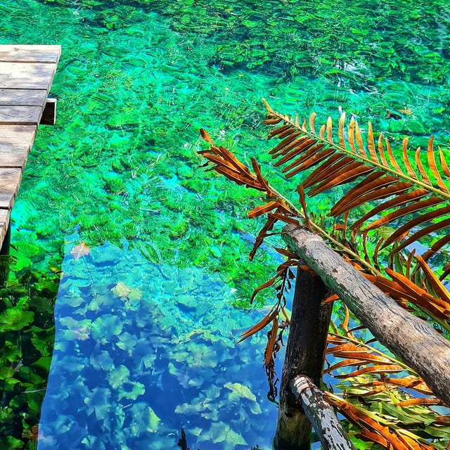 Mayan Ruins of Tulum, Cenote, Snorkeling & Jungle Adventure Tour with ...