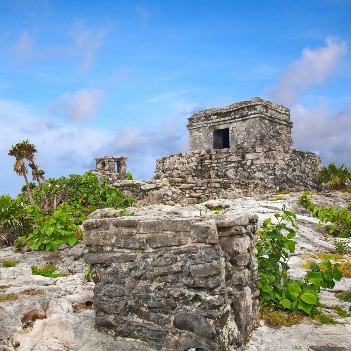 Mayan Ruins of Tulum, Cobá and Cenotes: Full Day Tour from Cancún ใน ...