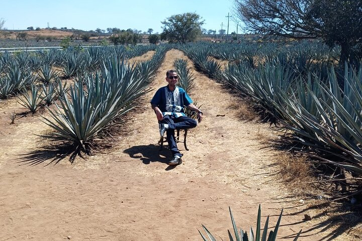 Guadalajara Tequila Tour