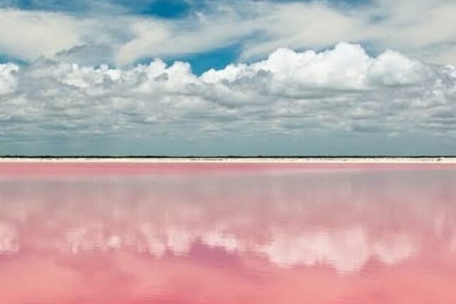 Tour to the pink lagoons & Río Lagartos from Merida in Merida | Pelago
