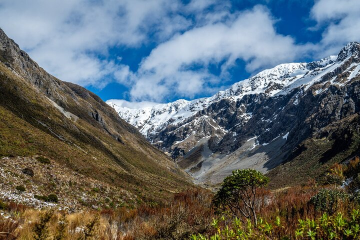 Arthur’s Pass Tour From Christchurch With Jet Boat & TranzAlpine in ...