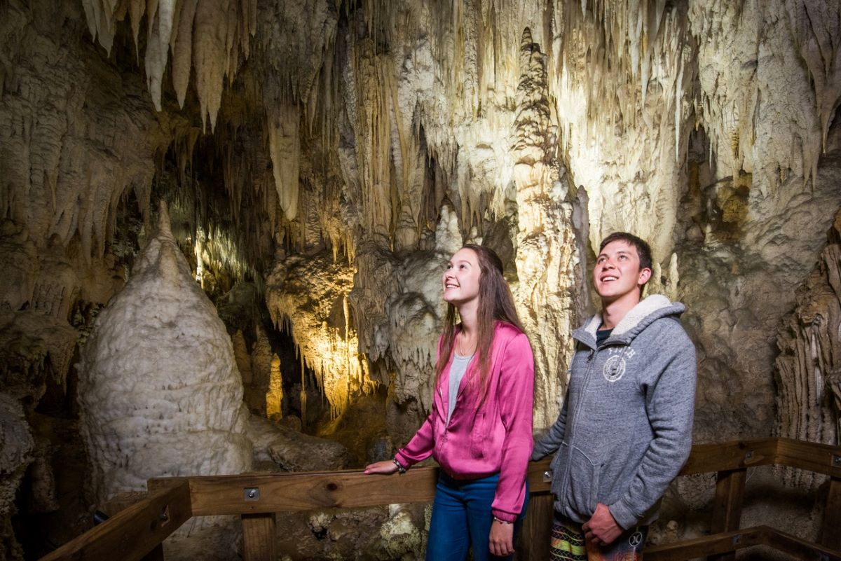 Auckland to Rotorua via Waitomo Caves Small Group Tour (One Way) in ...
