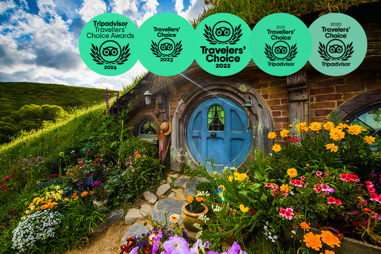 Hobbiton Movie Set Small Group Tour from Auckland in Auckland | Pelago