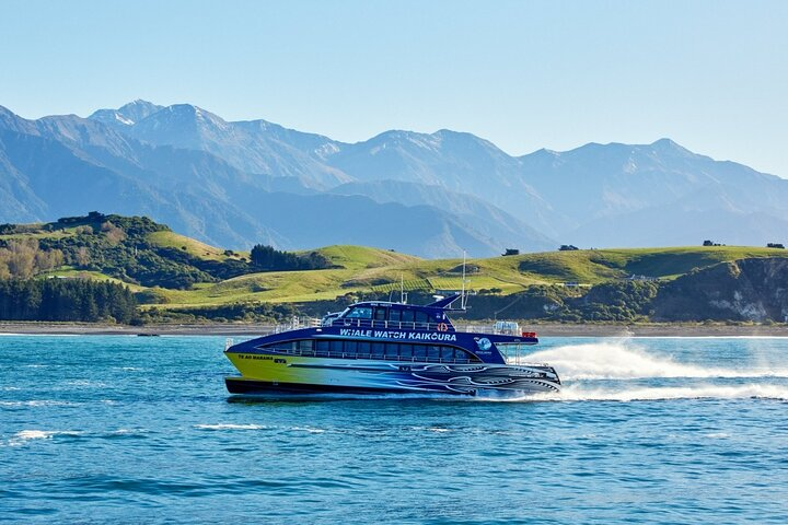 Kaikoura Whale Watch Day Tour from Christchurch in Christchurch | Pelago
