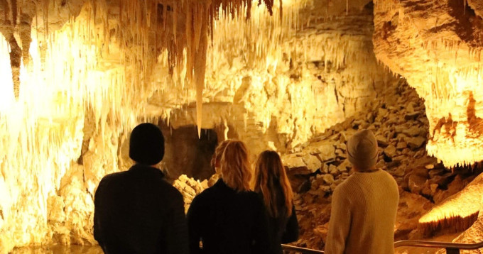 오클랜드의 Rotorua & Waitomo Tour | Pelago