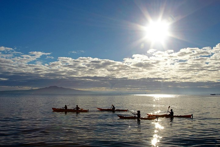 오클랜드의 Sunset kayak tour to Rangitoto Island | Pelago