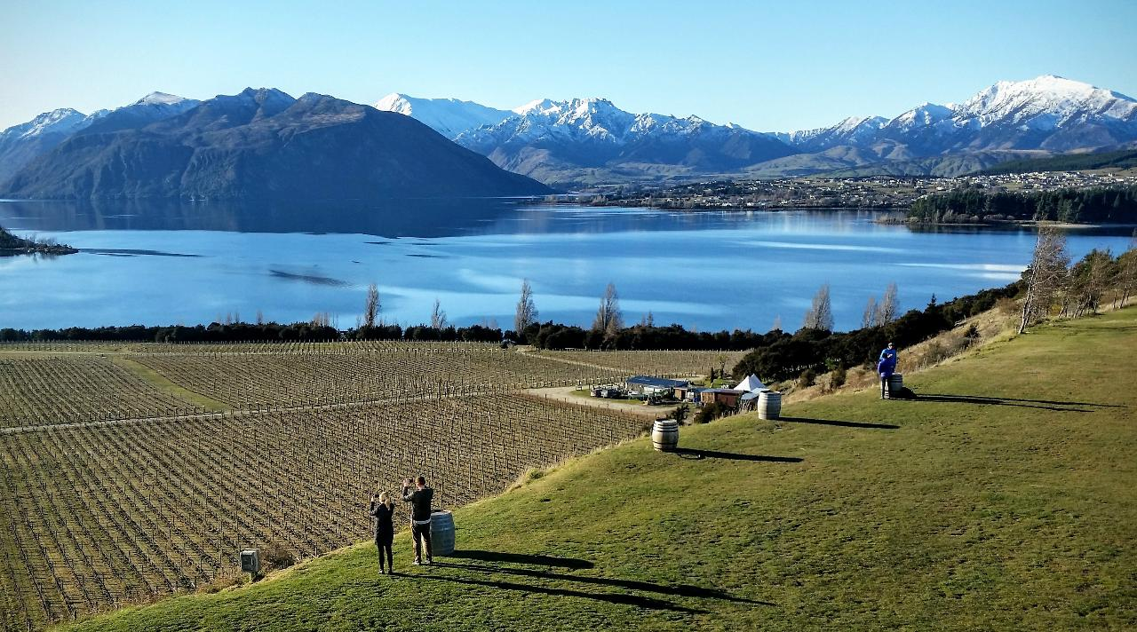 Taste of Wanaka Wine Tour in Wanaka | Pelago