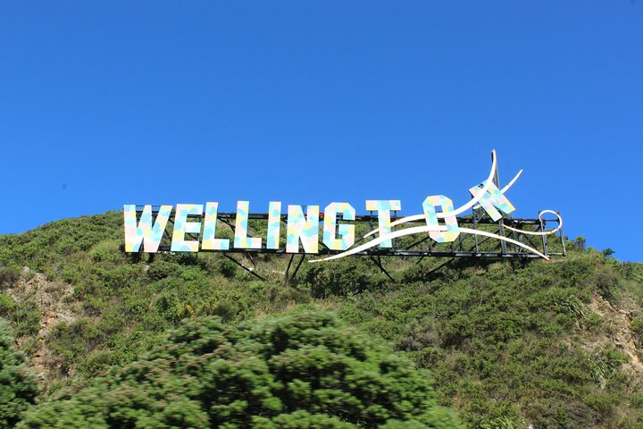 Wellington City and Sea: Private Tour in Electric Tesla SUV in ...