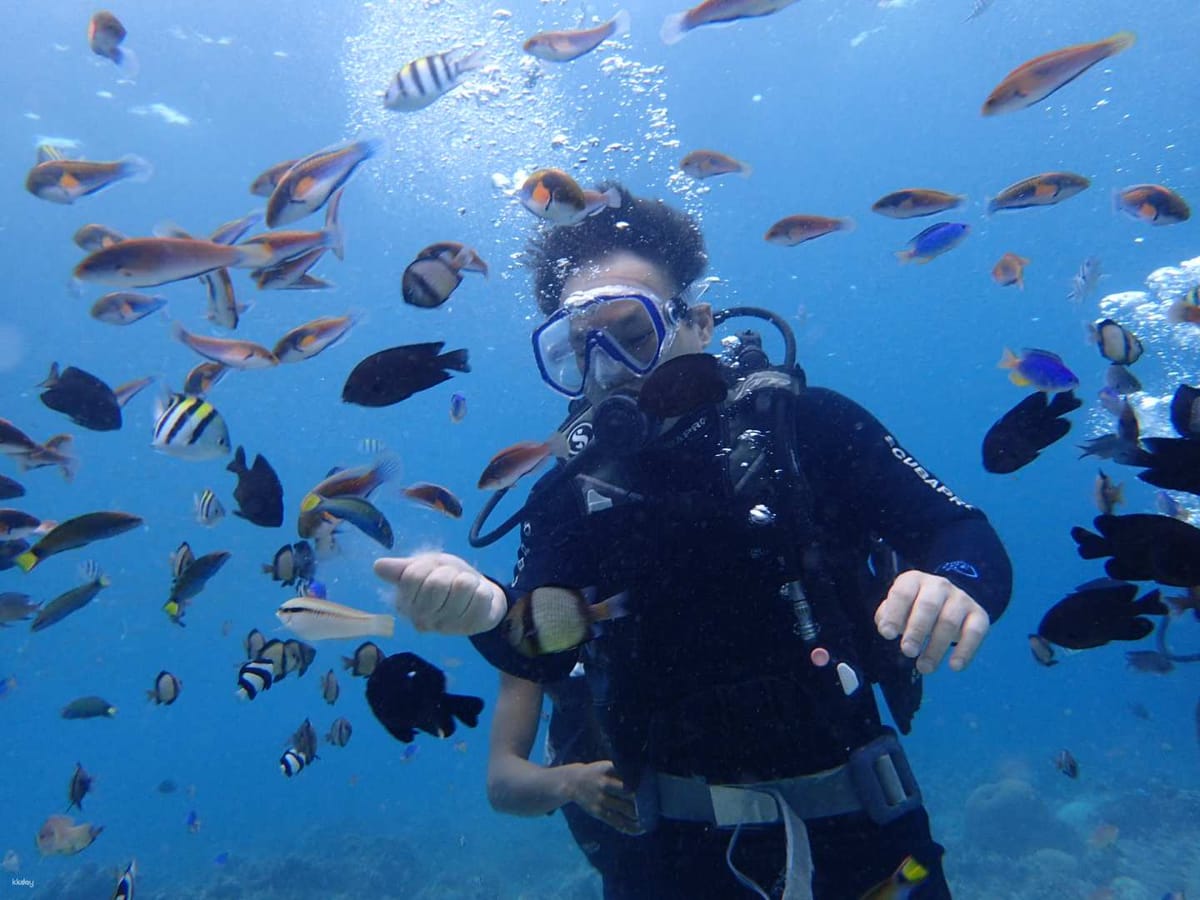 Cebu Experience Scuba Diving (Photography Service) in Cebu | Pelago
