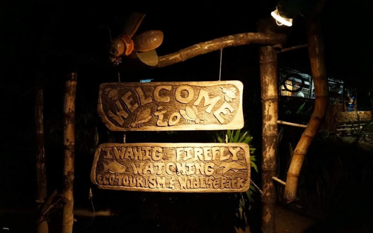 Puerto Princesa Fireflies Night Shared Tour in Palawan | Philippines in ...