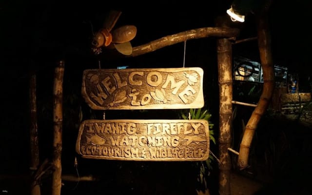 Puerto Princesa Fireflies Night Shared Tour in Palawan | Philippines in ...