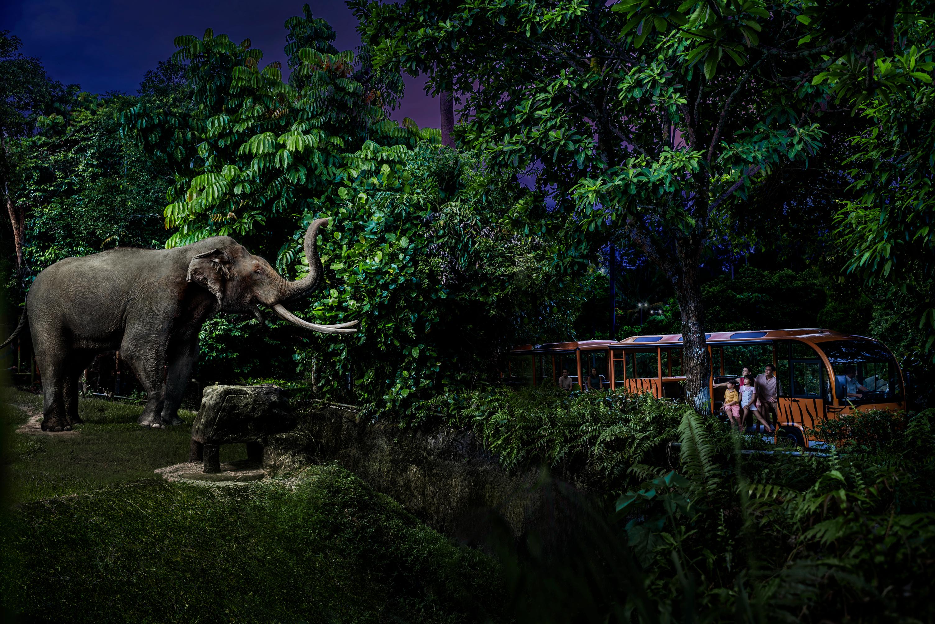 Night Safari Tickets | Mandai Wildlife Reserve in Singapore | Pelago