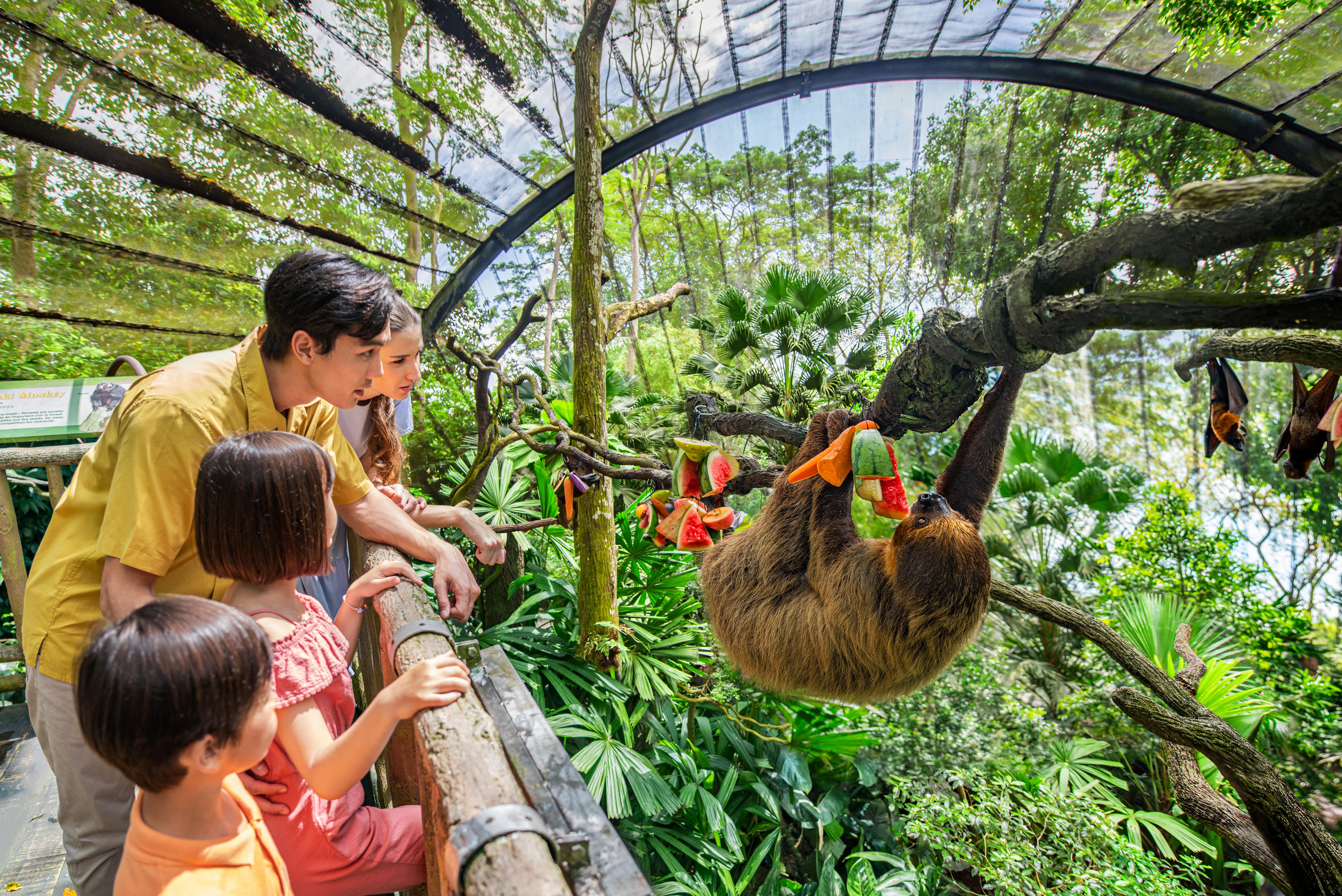Singapore Zoo Tickets | Mandai Wildlife Reserve in Singapore | Pelago