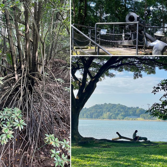 Southern Ridges Hiking Tour ใน สิงคโปร์ | Pelago