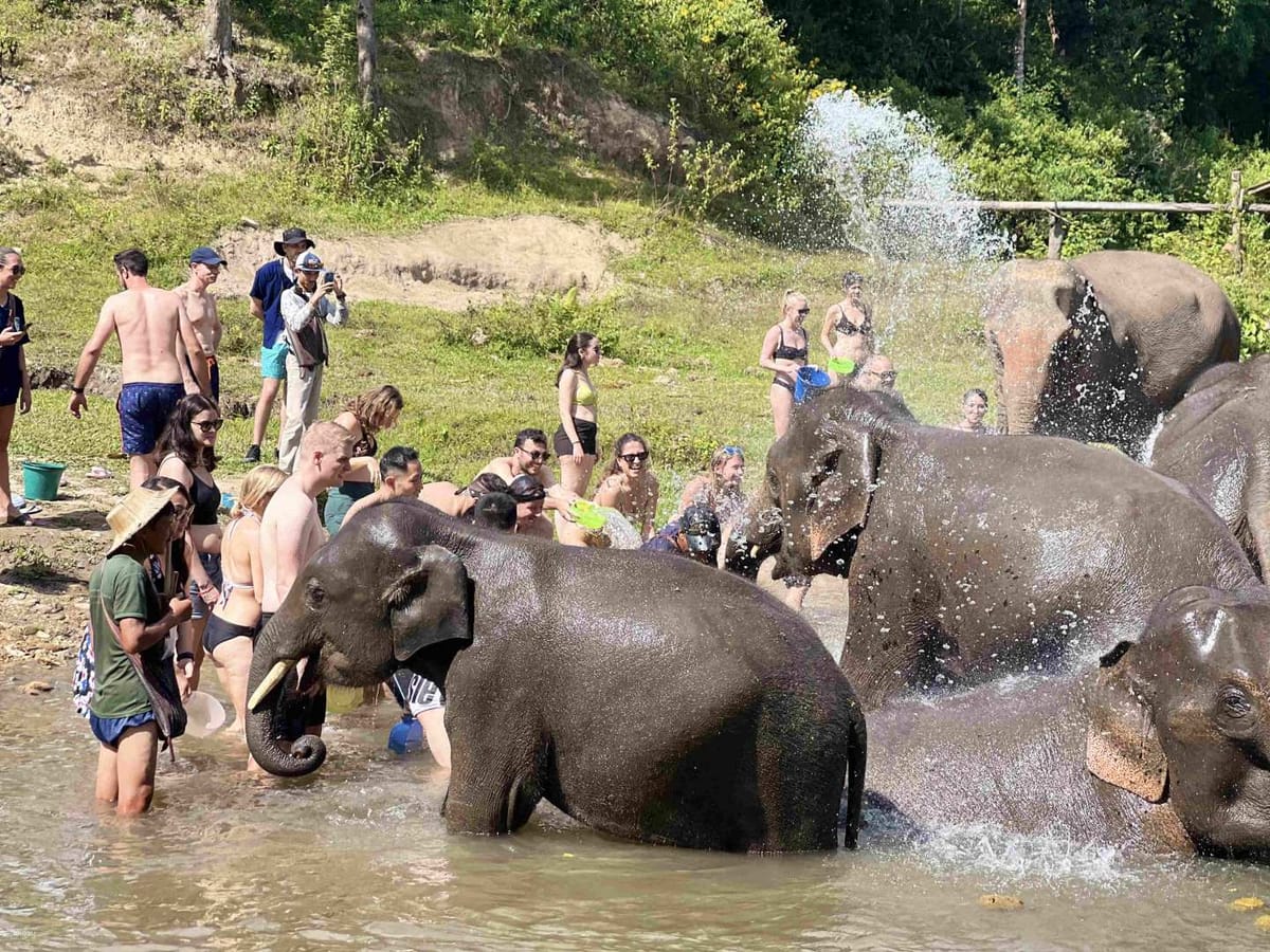 Chiang Mai Day Trip: Ethical Elephant Sanctuary and ATV Adventure | Thailand in Chiang Mai | Pelago