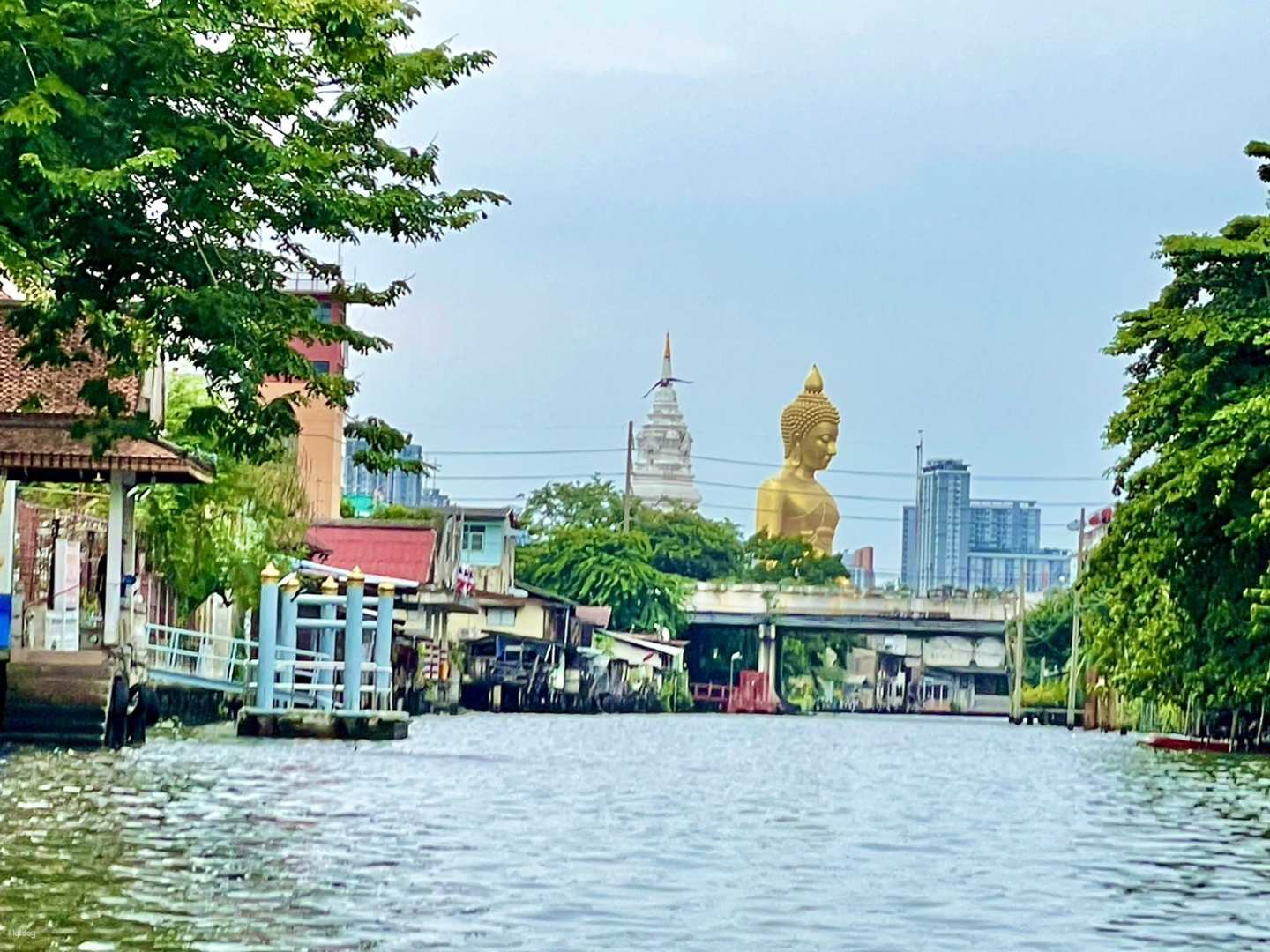 Wat Pak Nam & Thonburi Market Day Tour | Bangkok in Bangkok | Pelago