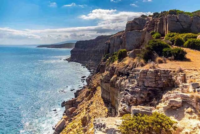 Private Excursion to the Cap Bon Peninsula in Tunis | Pelago