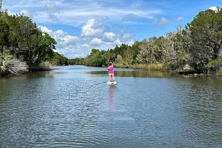 Backland Alligator Electric Paddle Tour in Crystal River | Pelago