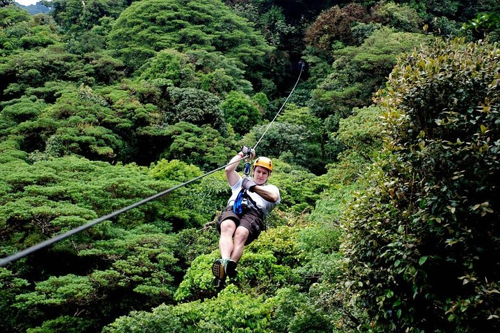 Day Trip from San Jose to Braulio Carrillo Canopy Tour in Costa Rica ...