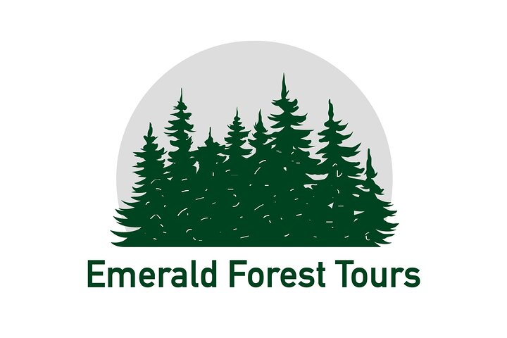 Emerald Forest Tours, Private Tours for Flexibility, Comfort, and ...