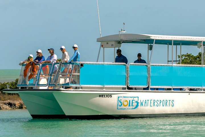 Famous Coffins Patch Reef Snorkel & Sandbar Tour in Marathon in Key ...