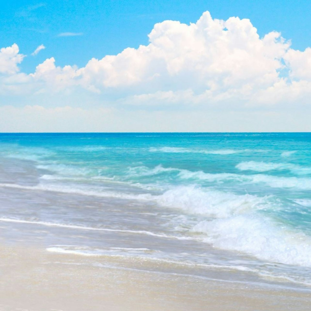 Ferry Tickets to Bimini, Bahamas Economy Class in Fort Lauderdale | Pelago