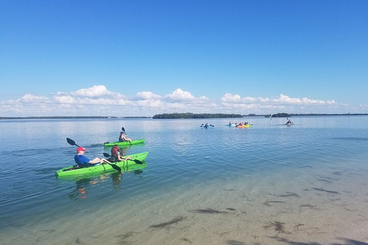 Guided Kayak EcoTour of Beautiful Shell Key Preserve in St Petersburg ...