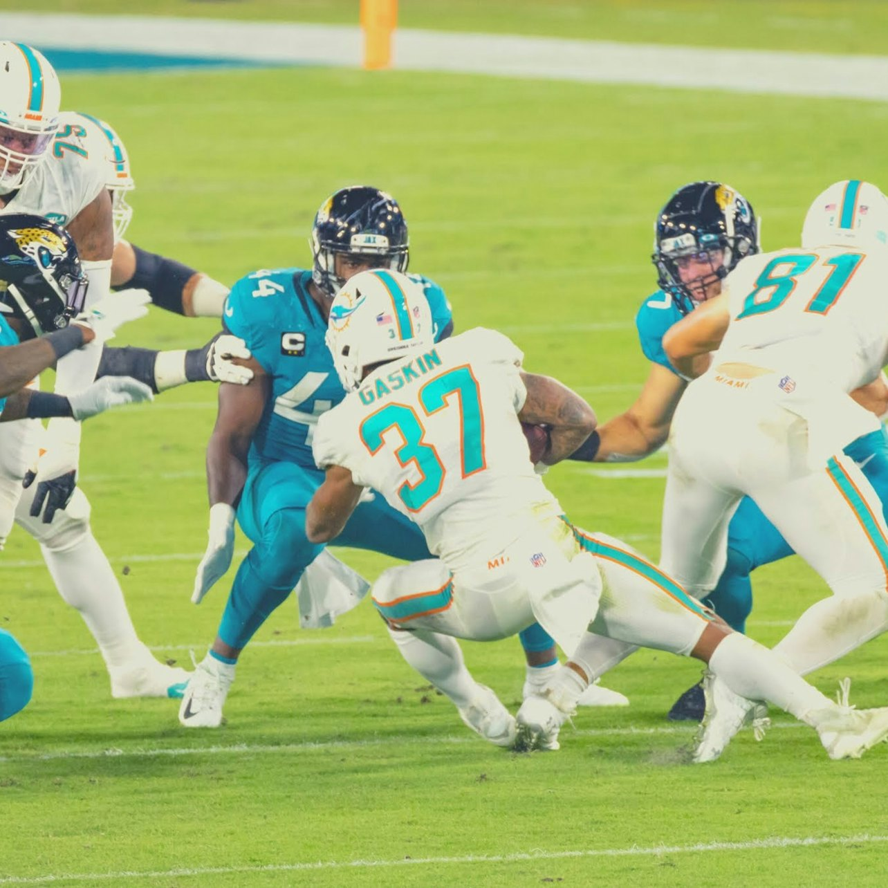 마이애미 가든의 Miami: Dolphins Football Game at Hard Rock Stadium | Pelago