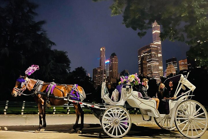 MOONLIGHT RIDE Central Park with Photo (45 min) ~ Skip the line in New ...