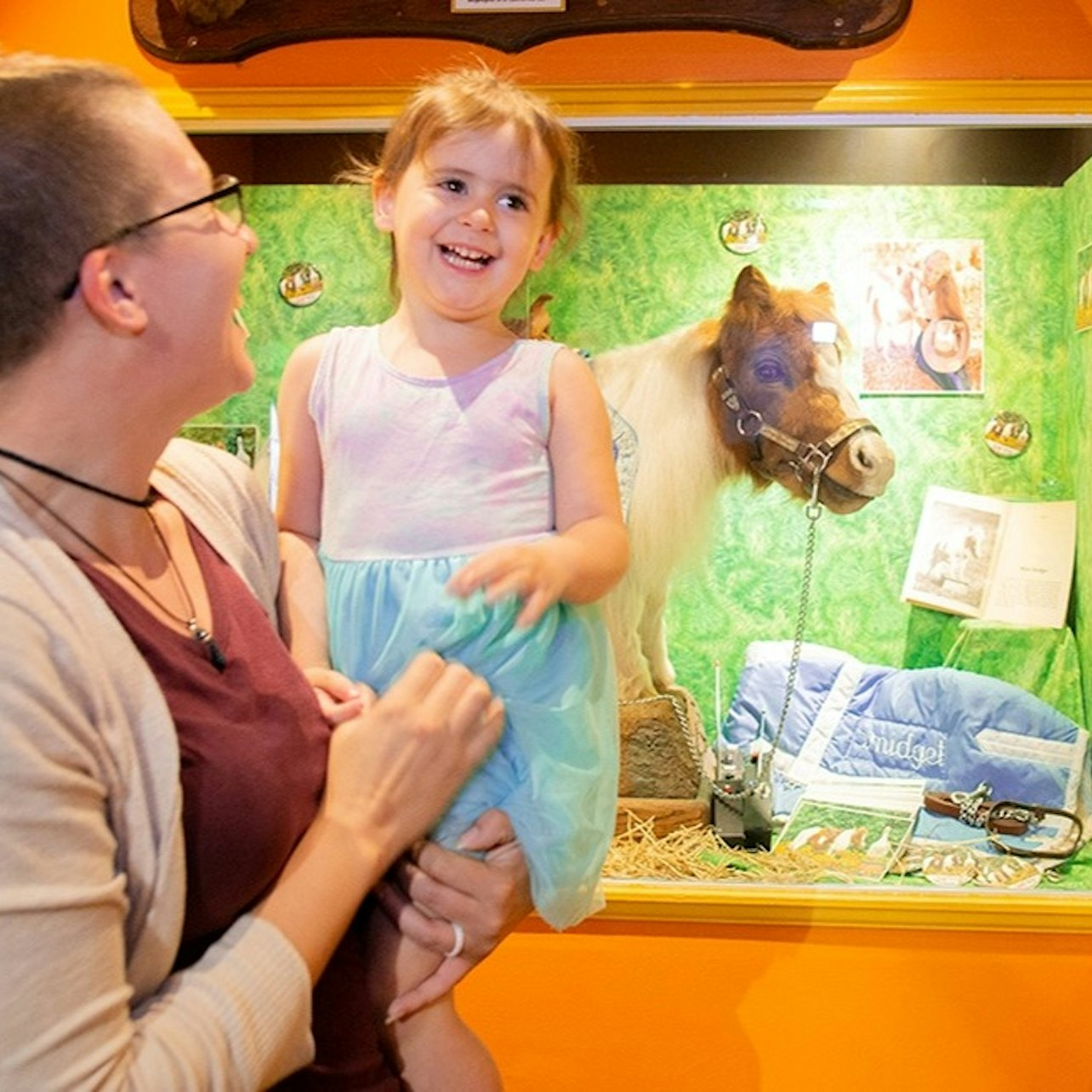 Panama City Beach: Ripley's 3 Attractions Entry in Panama City Beach ...