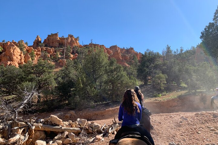 Ruby's Horseback Adventures Utah Half Day Ride in Bryce Canyon National ...