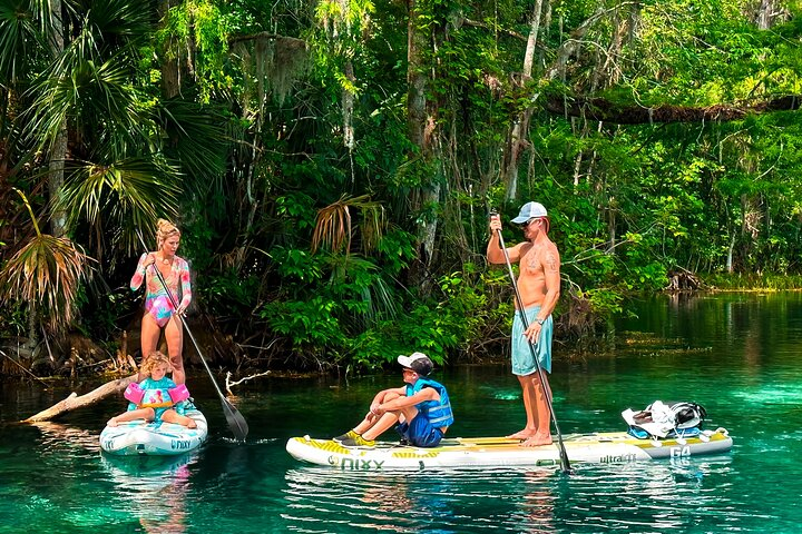 Silver Springs Paddle Board Adventure in Orlando | Pelago