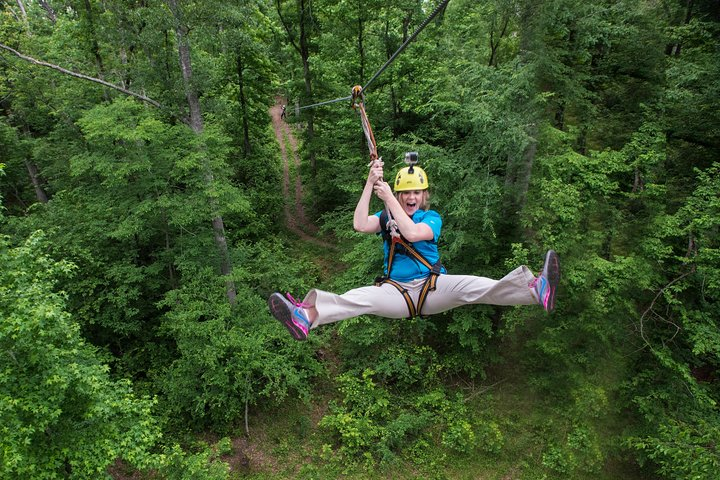 온천의 Small-Group Zipline Tour in Hot Springs | Pelago