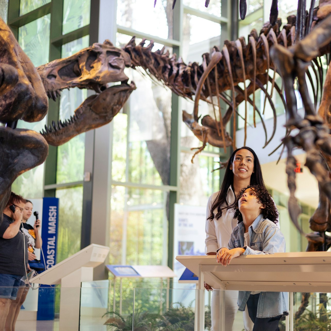 Witte Museum Tickets in San Antonio | Pelago