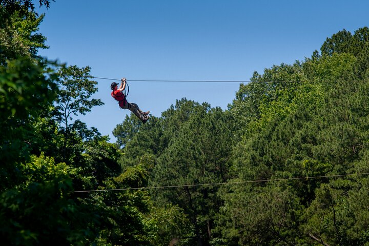 Ziplining and Climbing at The Adventure Park at Virginia Aquarium in ...