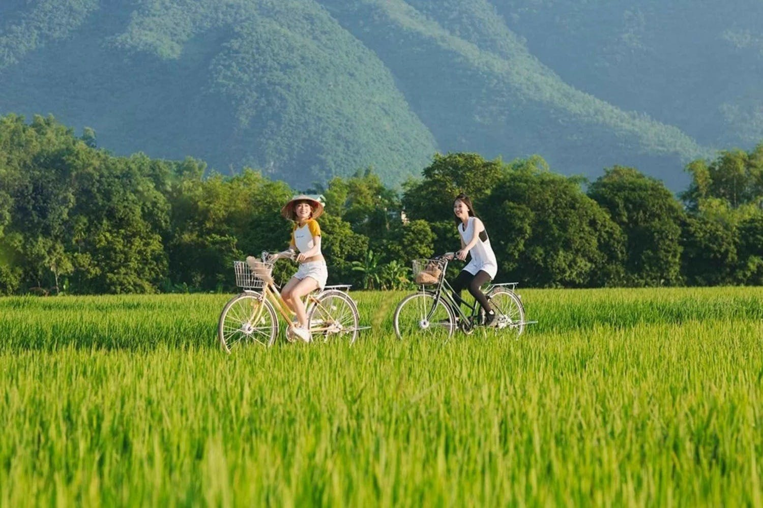 Mai Chau: Full-Day Guided Trip from Hanoi + Lunch in Hanoi | Pelago